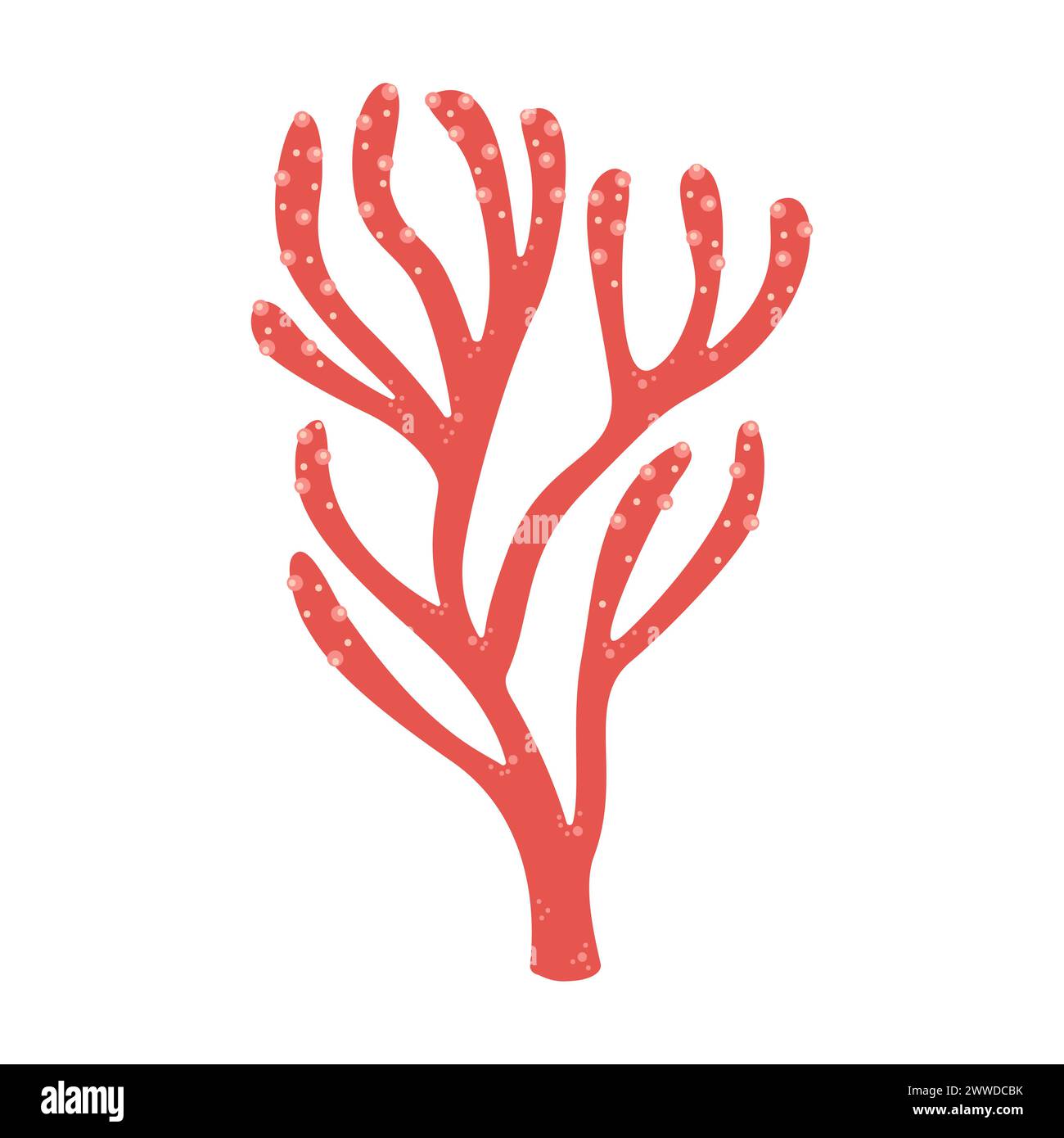 Red corals Alcyonacea Hand drawn Precious coral. Exotic coral reef ...