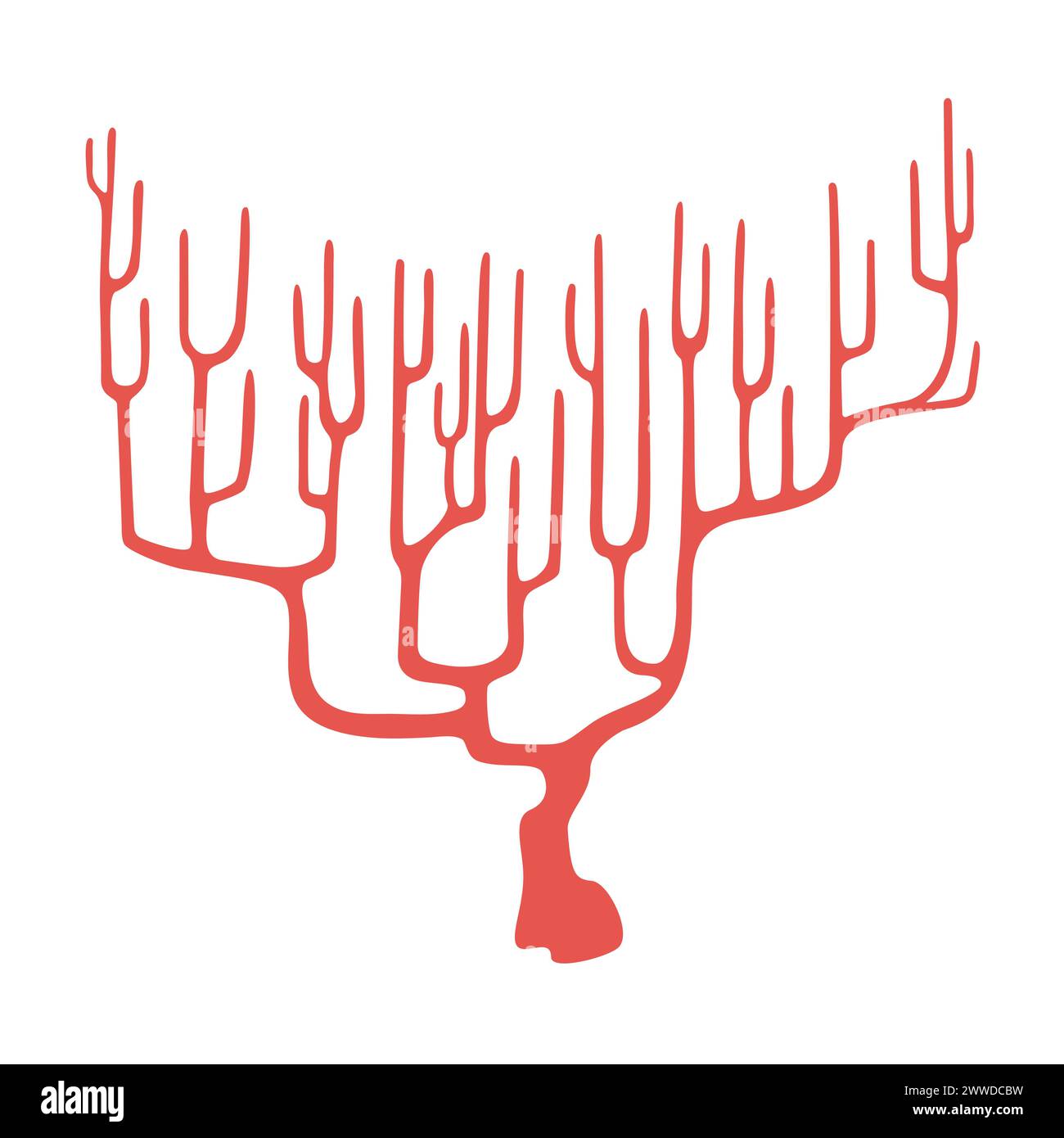 Red corals Hand drawn Precious coral. Exotic coral reef underwater ...