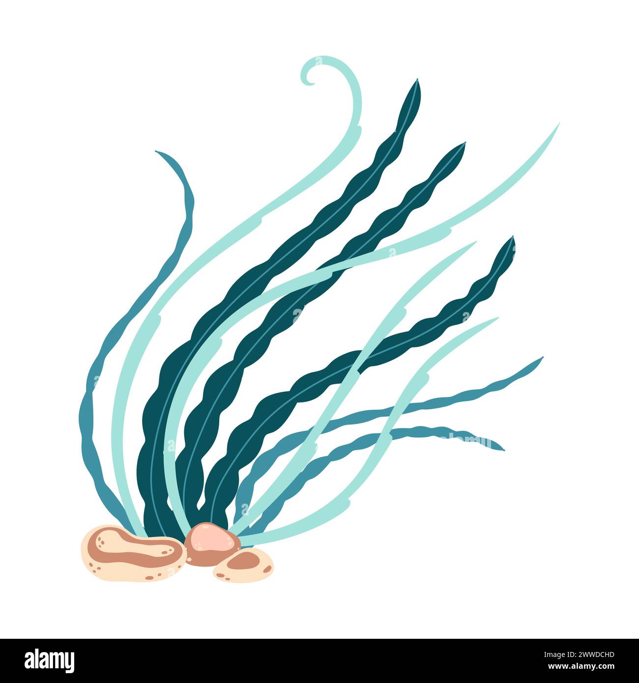 Seaweed. Hand drawn algae colorful seaweed. Underwater plants. Modern ...