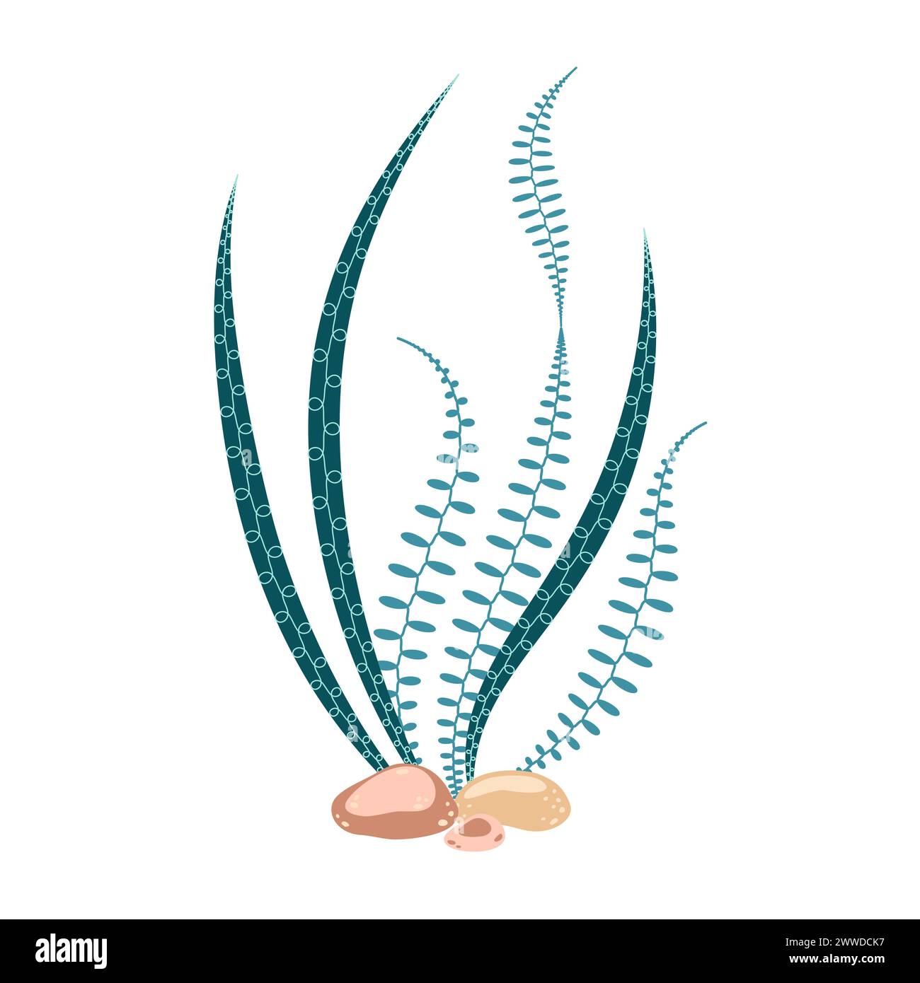 Seaweed. Hand drawn algae colorful seaweed. Underwater plants. Modern ...