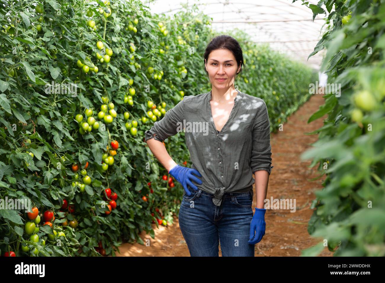 Woman standing among shrubs hi-res stock photography and images - Alamy