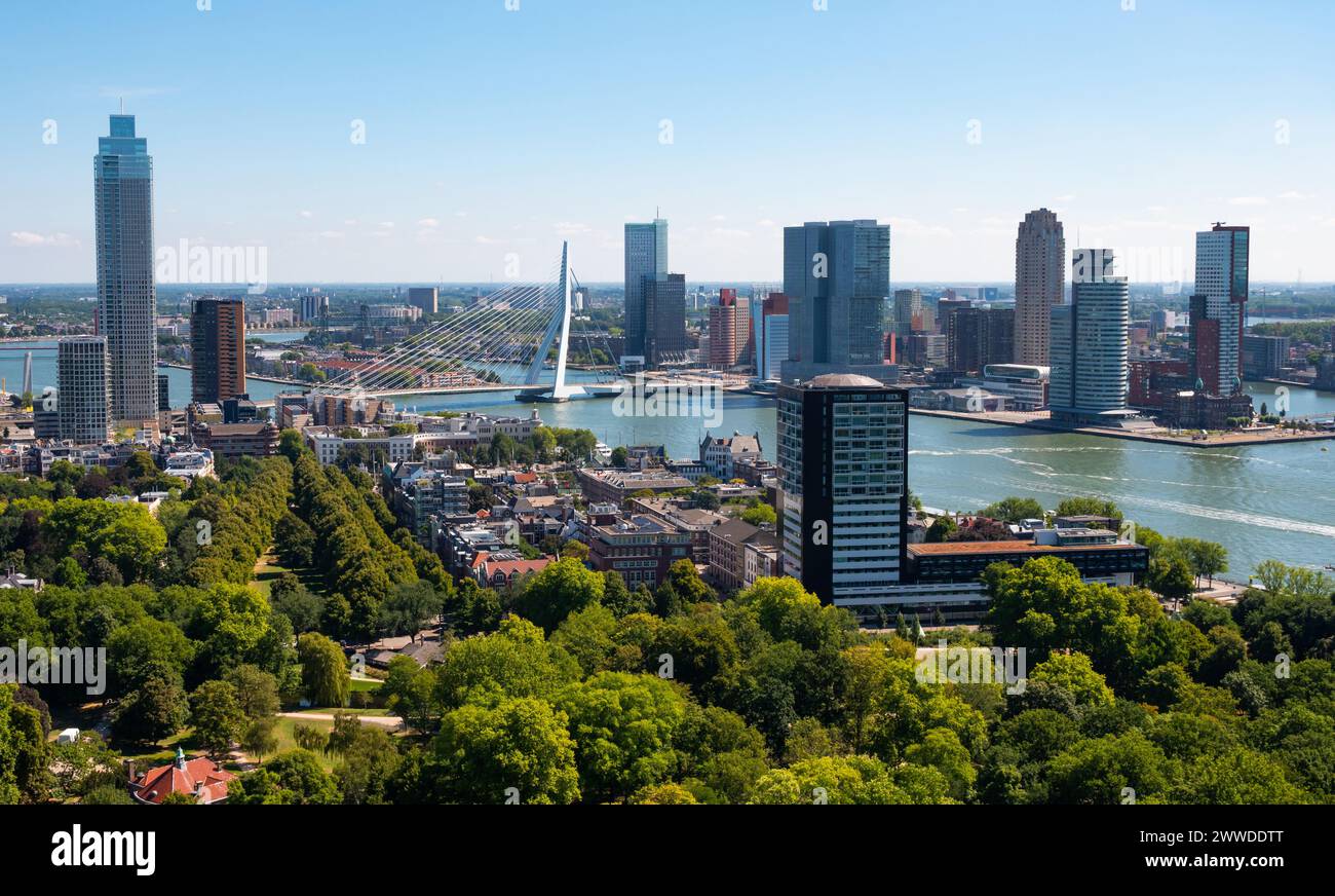Aerial view of Rotterdam cityscape on Nieuwe Maas with Erasmus cable-stayed bridge Stock Photo ...