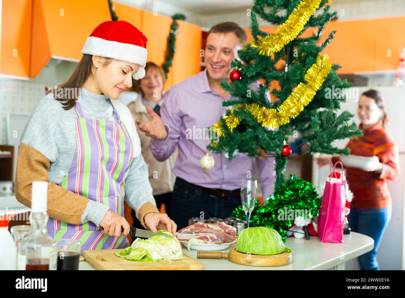 Family preparing christmas dinner Stock Photo - Alamy