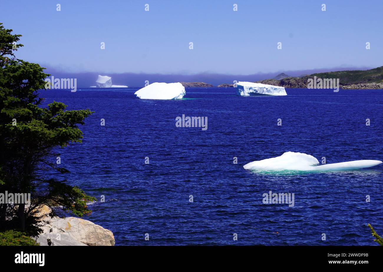 Small icebergs in an ocean inlet on Newfoundland's eastern coast Stock ...