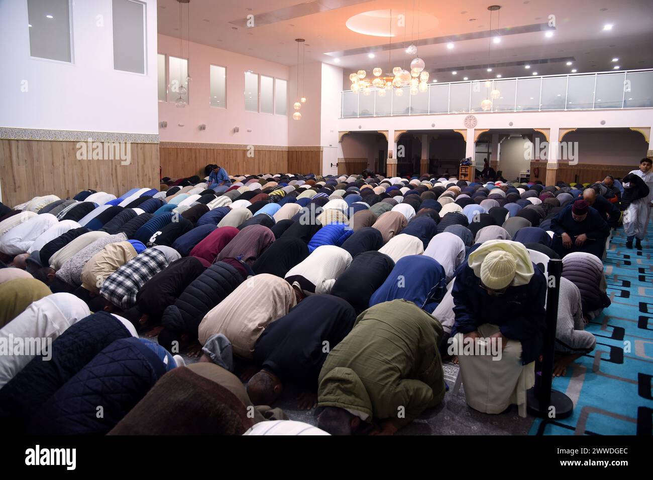 Several Muslim men pray in the kneeling position touching their nose to ...