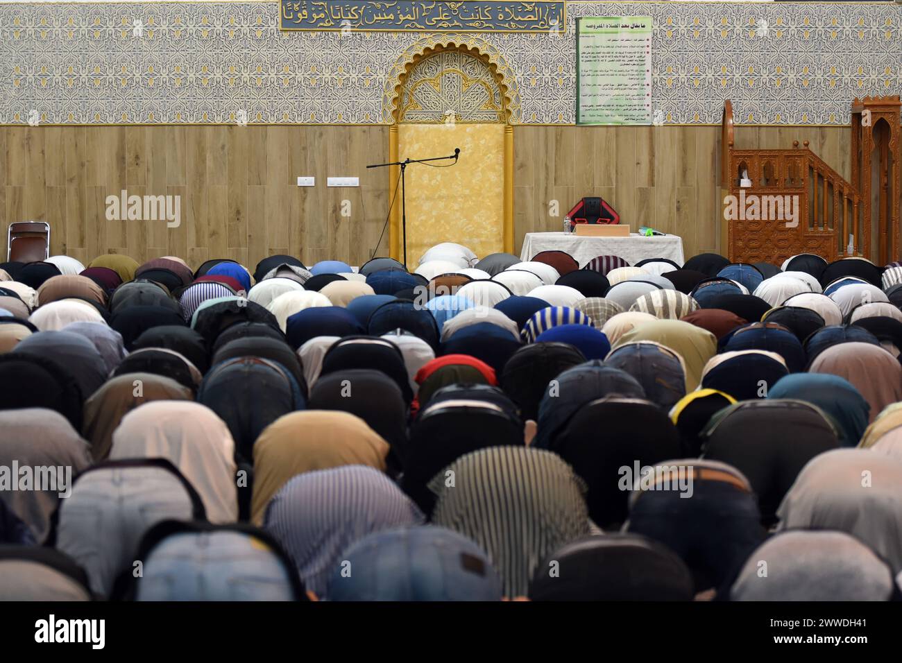 Several Muslim men pray in the kneeling position touching their noses ...