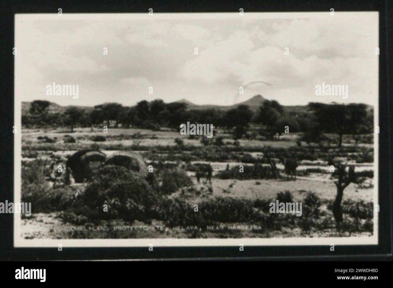 Description: Somaliland protectorate, Kelaya, near Hargeisa. Location ...