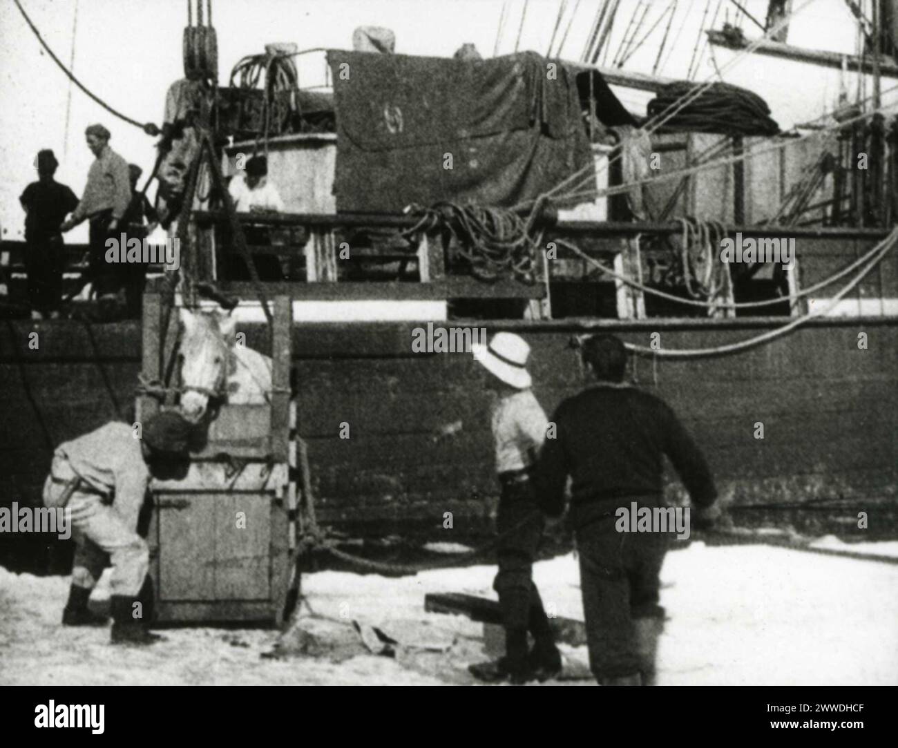 Lowering horse from Terra Nova Description: 'Photograph (Cinematograph ...