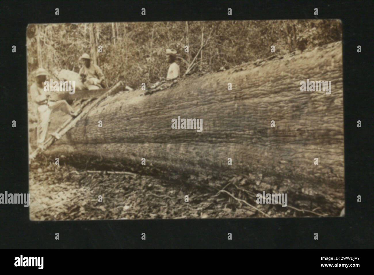 Historicharvesting hi-res stock photography and images - Alamy