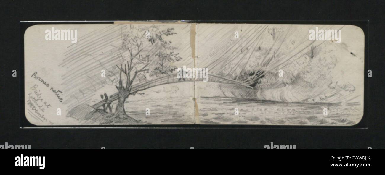 Native-built bridge in Borneo, showing construction technique and ...