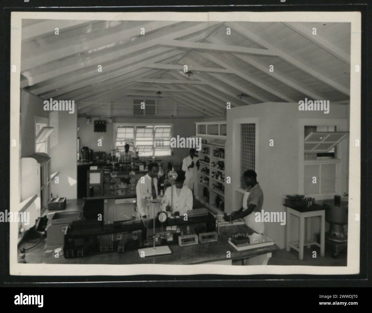 Description: The Colony Hospital bacteriologial laboratory, St. George ...