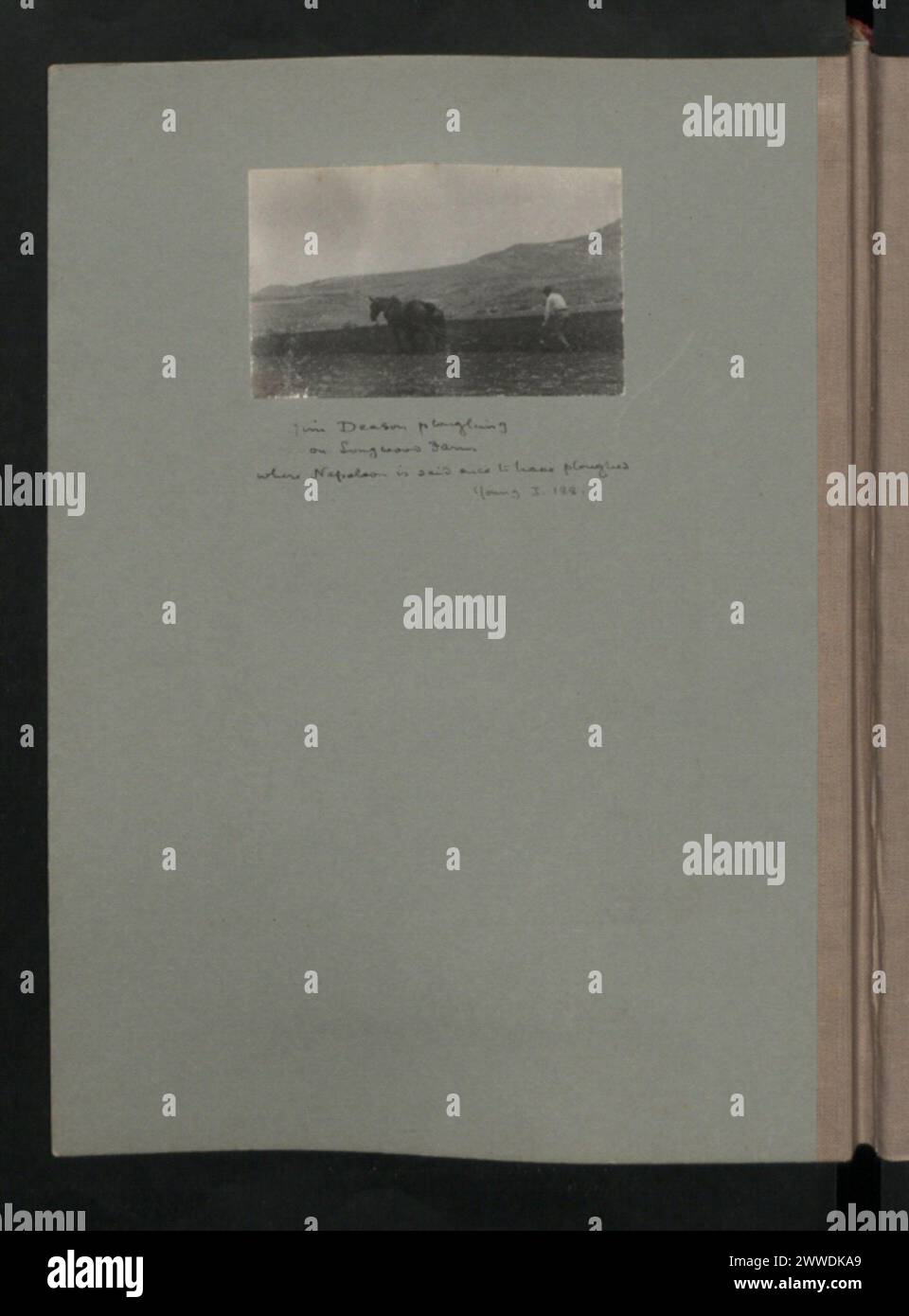 Description: Jim Deason ploughing on Longwood farm where Napoleon is ...