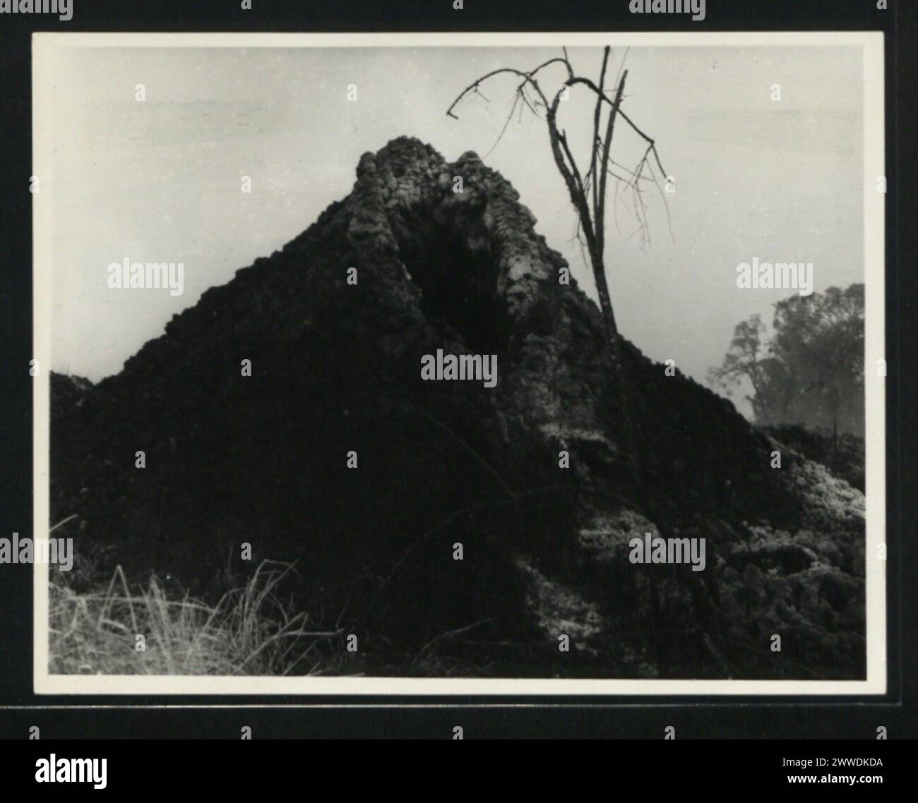 Photograph showing the eruption of Mount Cameroons near Buea and a ...