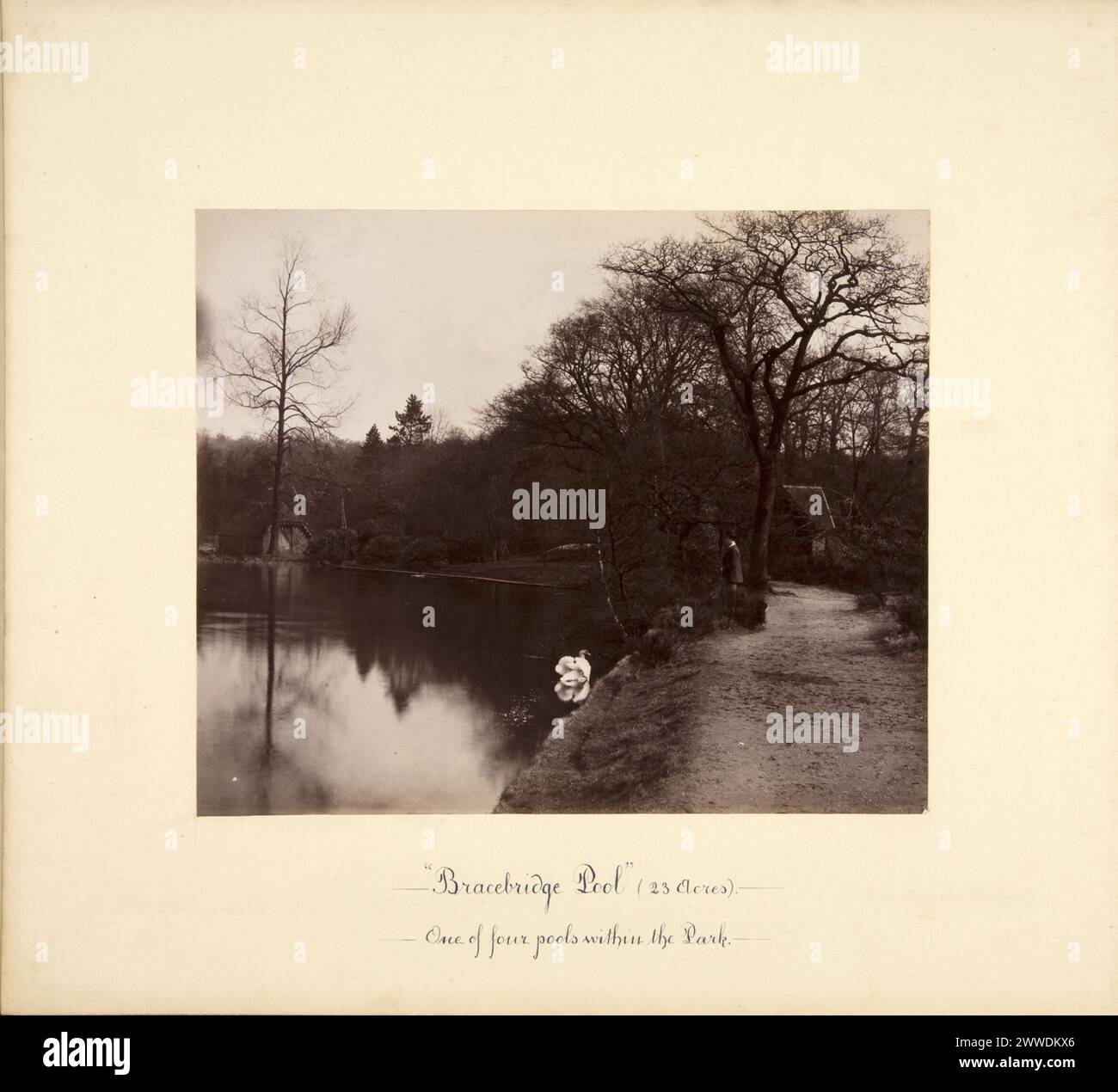 PP1-49 (7) Residents of Sutton Coldfield Description: "Bracebridge Pool ...