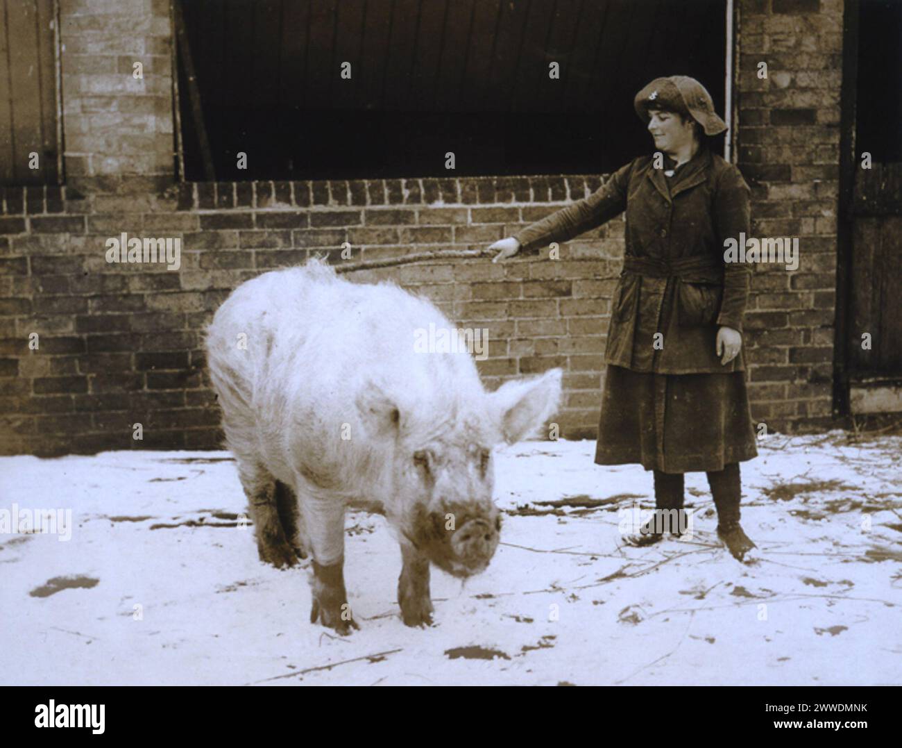 Ministryoffood hi-res stock photography and images - Alamy