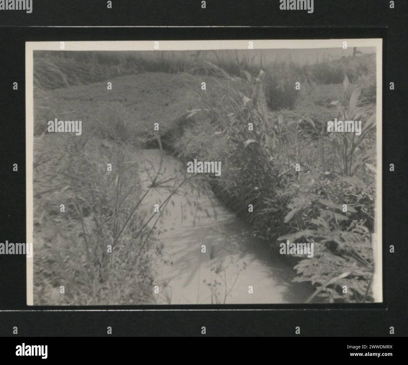 Description: Step dam three weeks after last rainfall Location ...