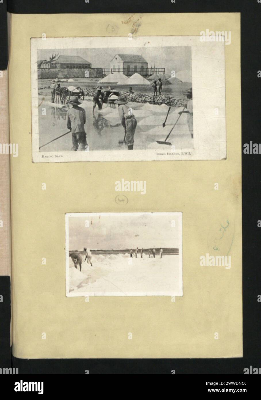 Workers raking salt on the Turks Islands, B.W.I., showing salt ...