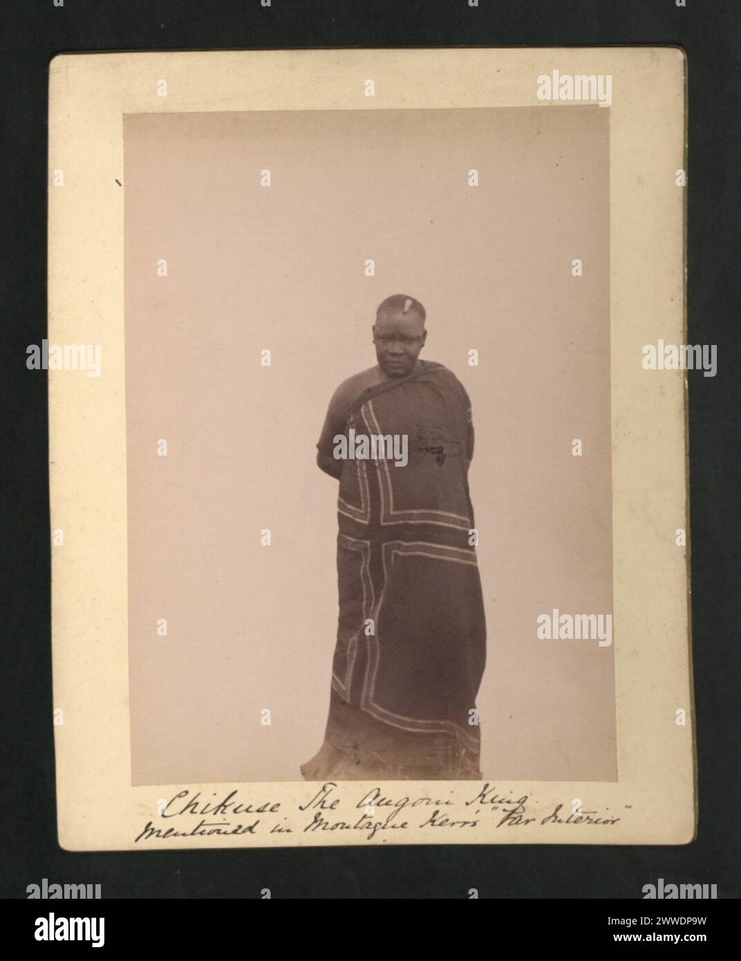 Augoni king hi-res stock photography and images - Alamy