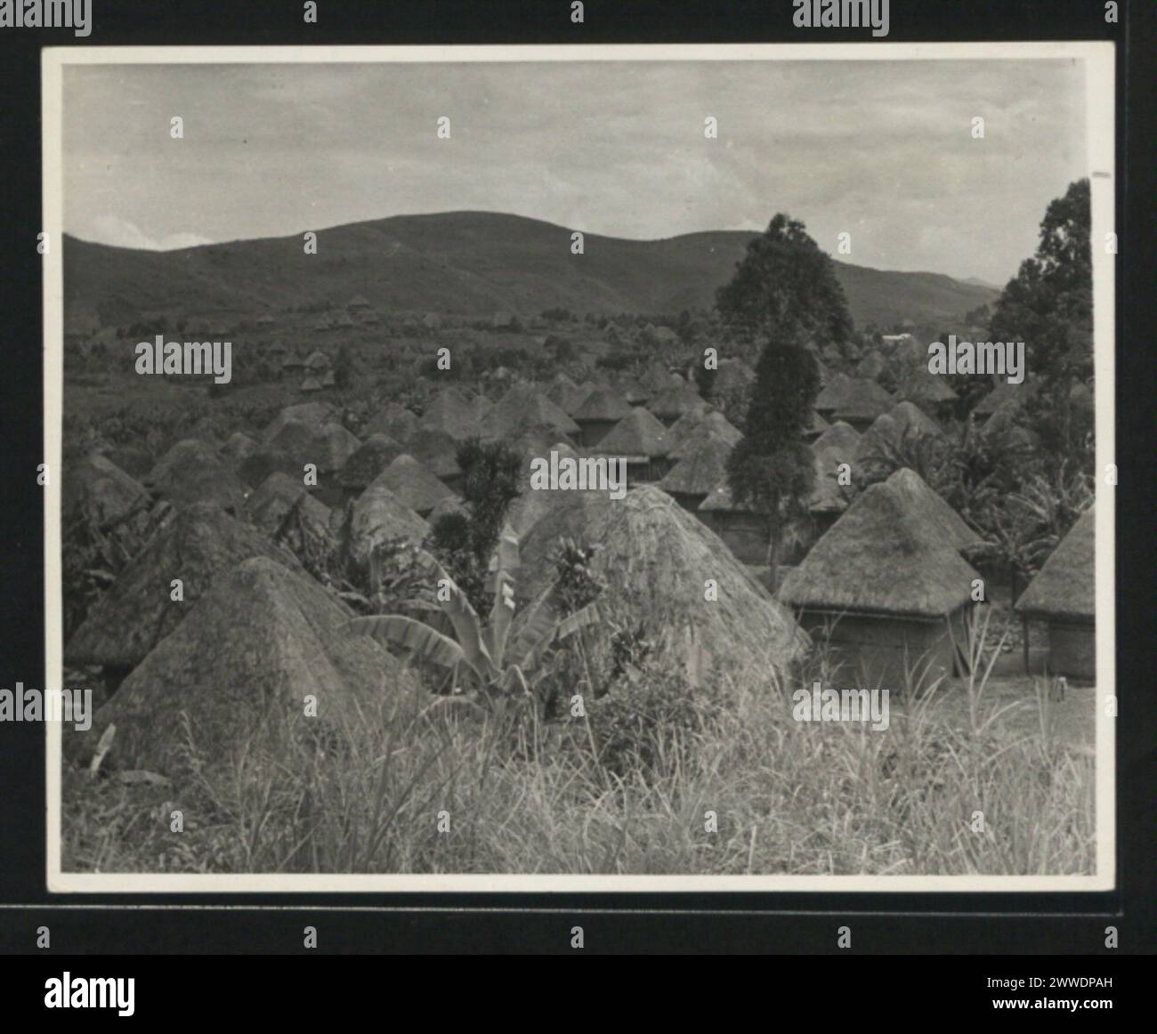Description: A typical village in the Bamenda grasslands. Location ...