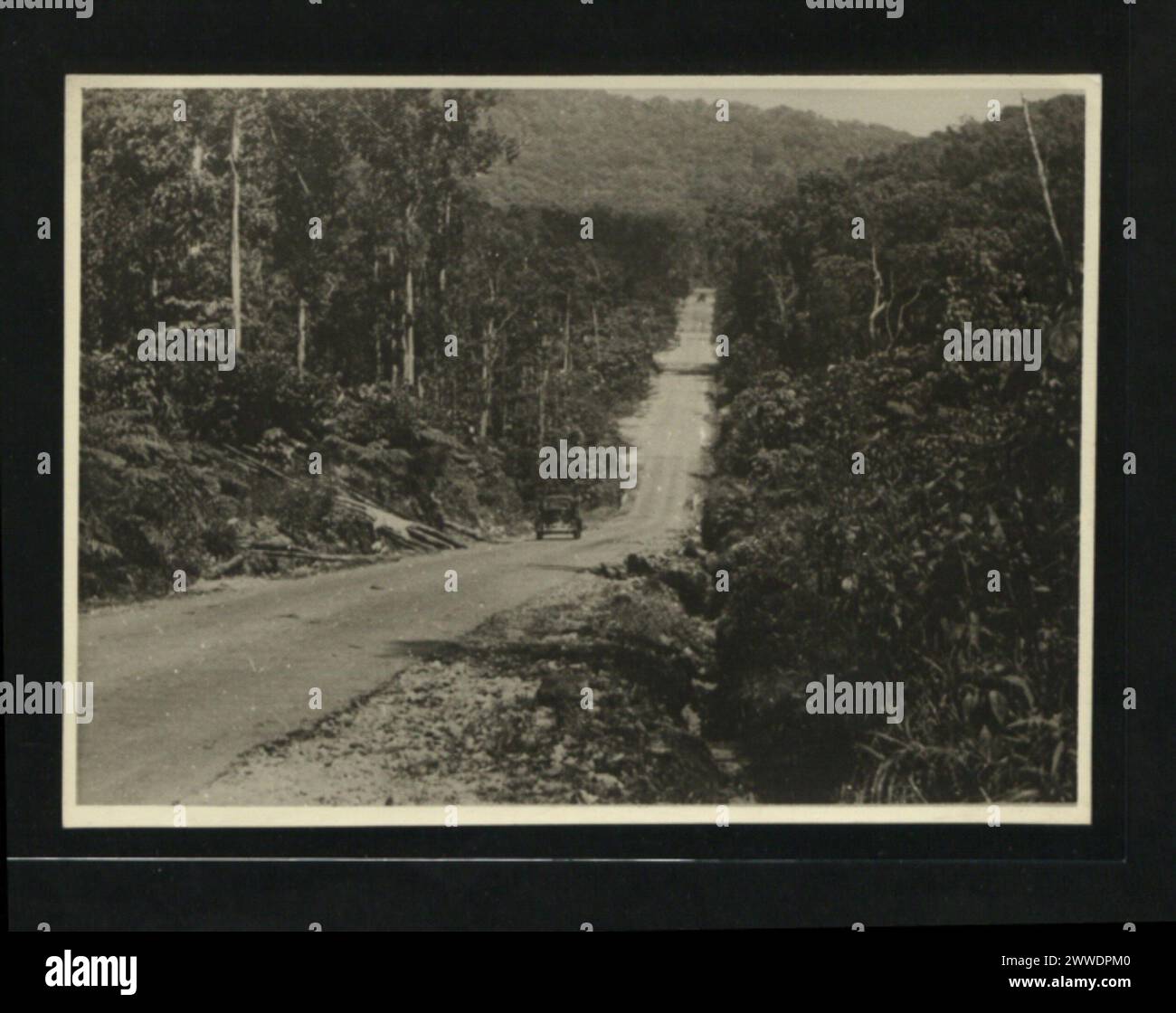 The Layou Valley Road in Dominica, constructed between 1957 and 1960 ...