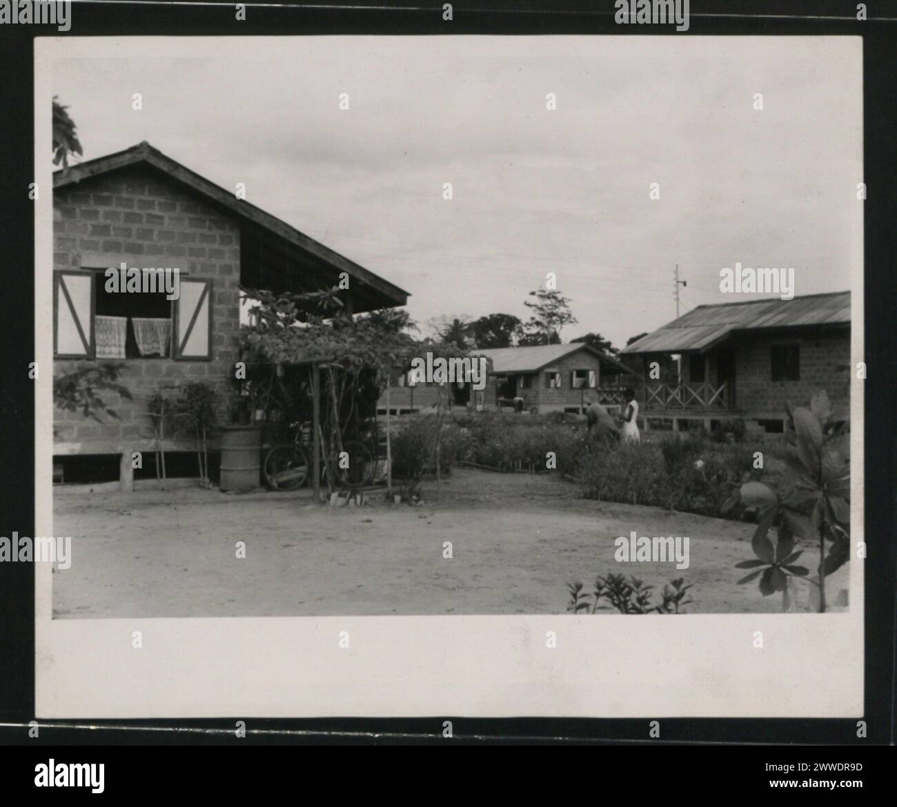 Description: Trinidad Oil Town. A view of the neat bungalows of Techier ...