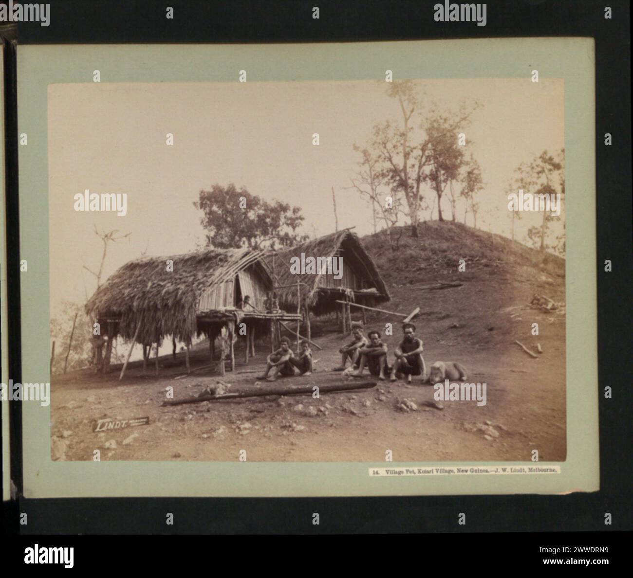 Description: Village Pet, Kodari Village, New Guinea.-J.W. Lindt ...