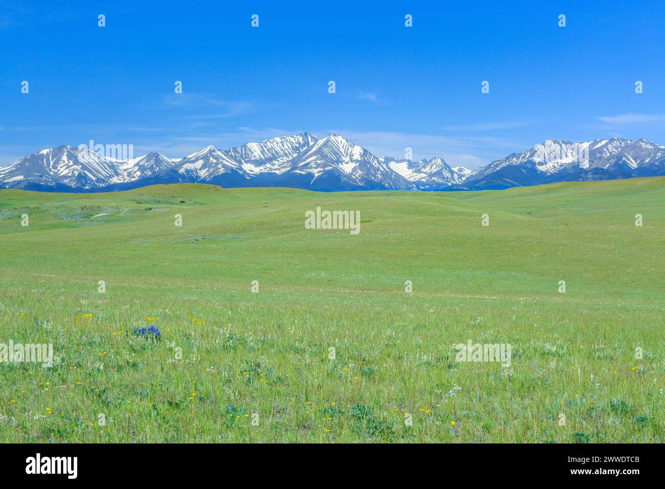 prairie below the crazy mountains near big timber, montana Stock Photo ...