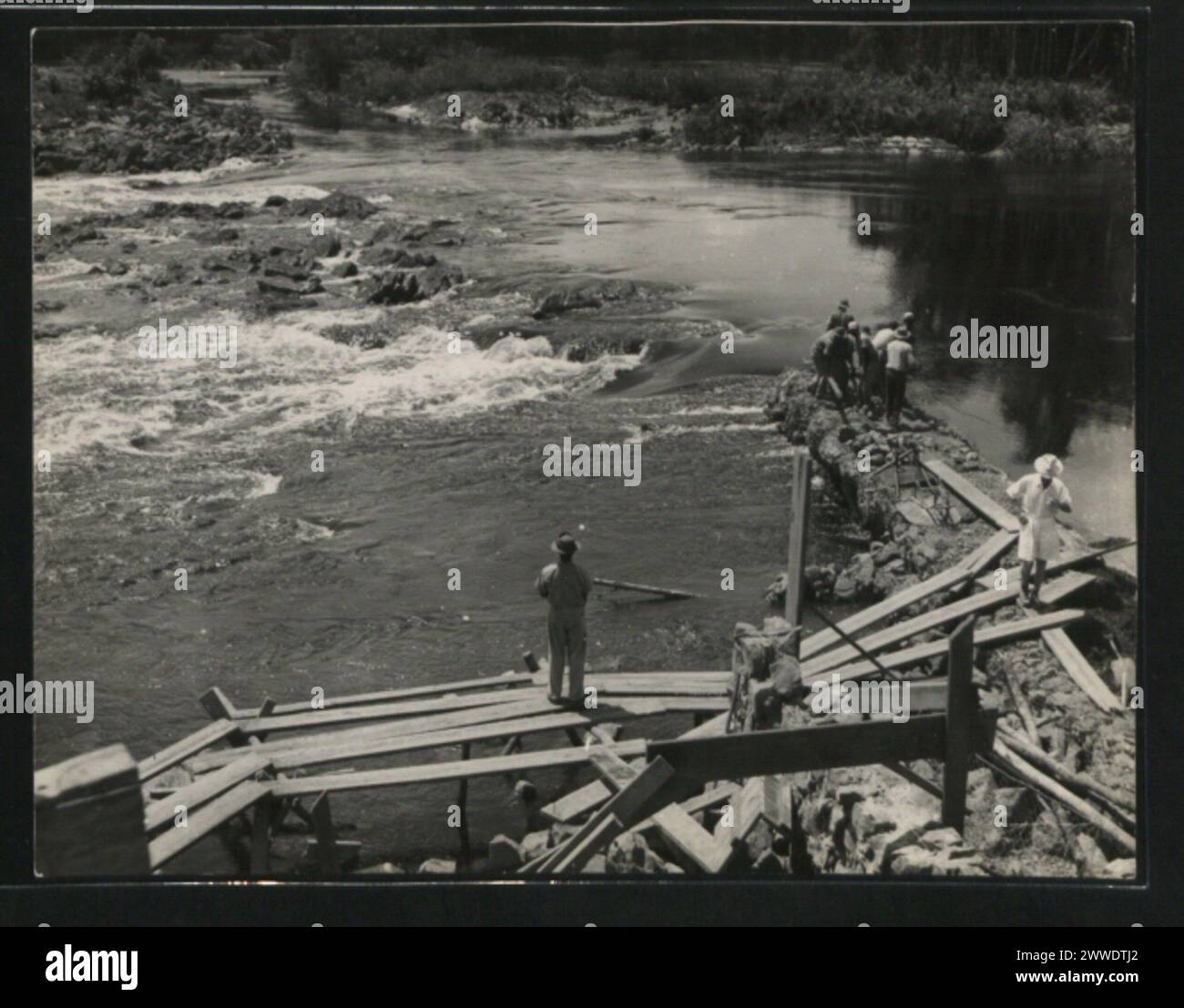 Description: River crossing Location: Guyana Date: 1950-1959 guyana ...