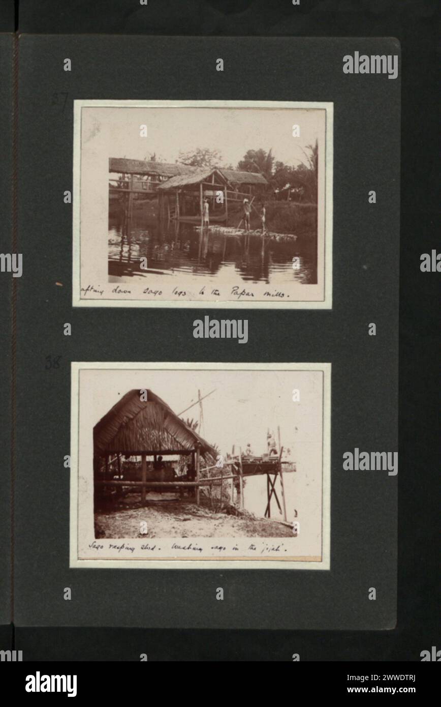 Description: Rafting down sago logs to the Papar mills. Description ...