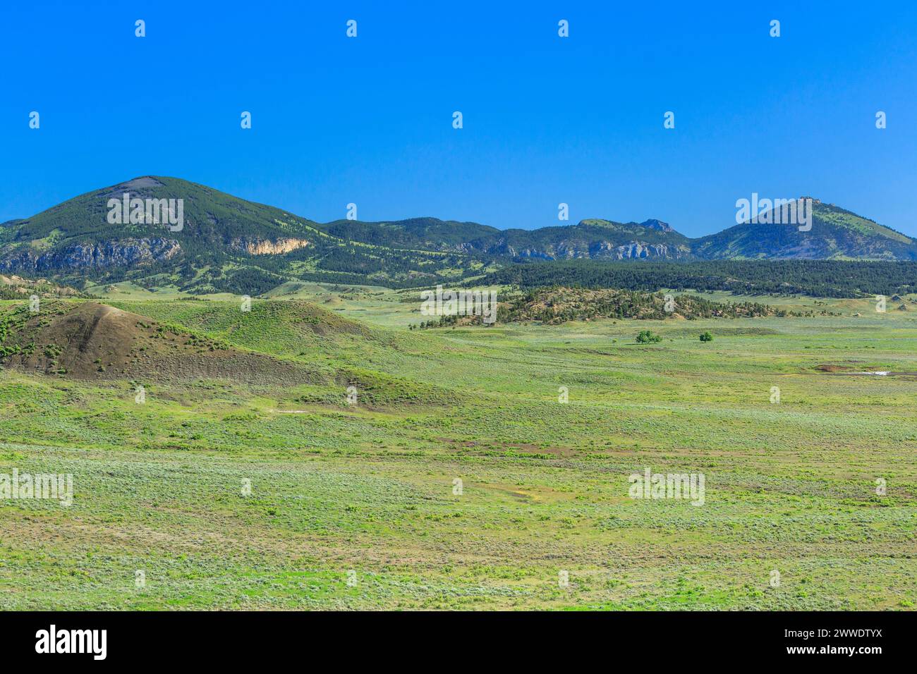 little rocky mountains above the prairie near zortman, montana Stock ...