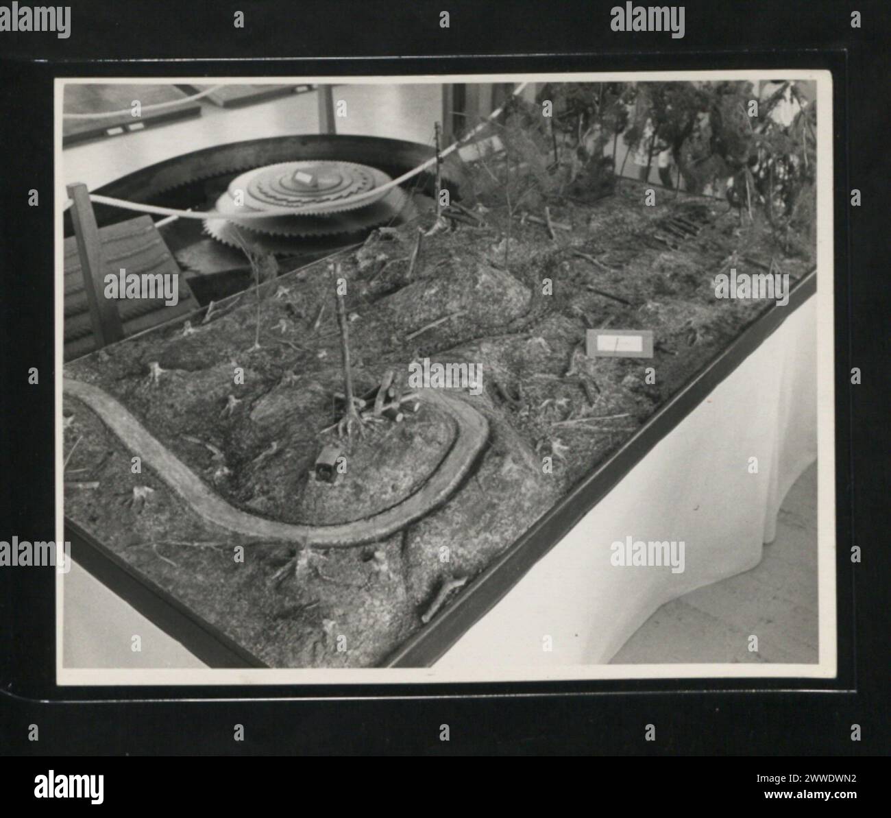 High lead logging hi-res stock photography and images - Alamy