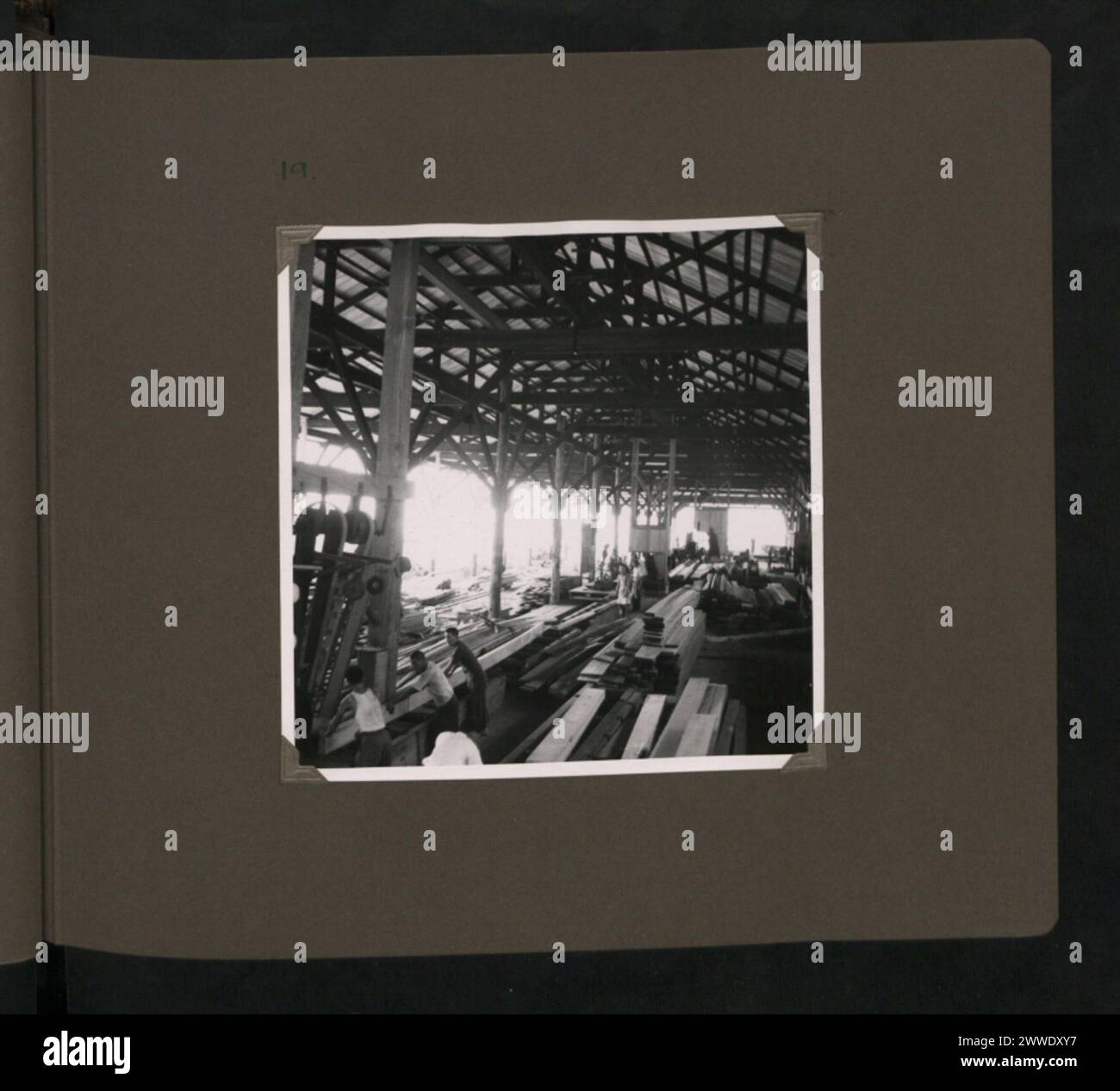 Description: Interior view of Messrs. North Borneo Trading Company's ...