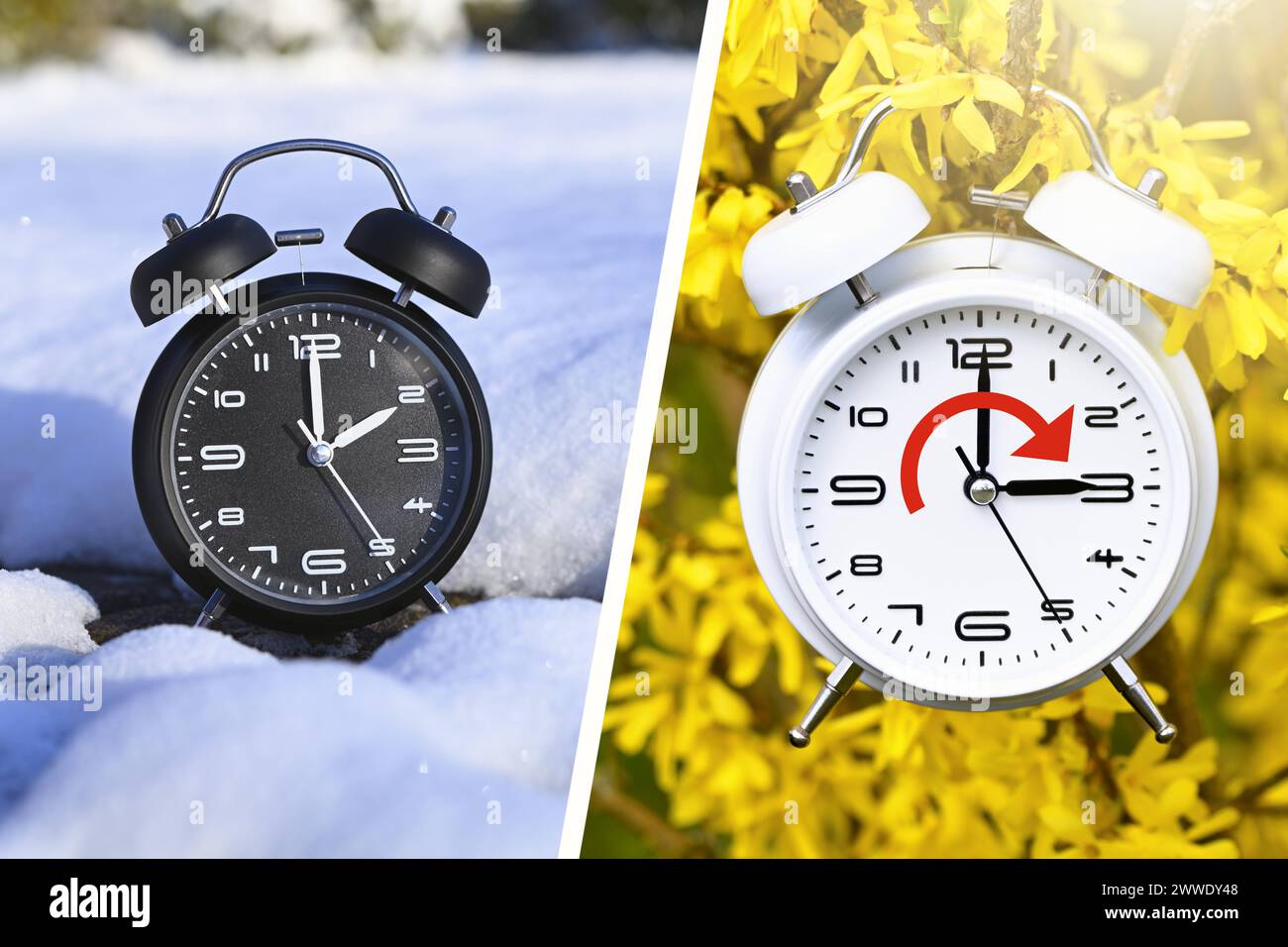 FOTOMONTAGE, Schwarzer Wecker im Schnee und weißer Wecker am ...
