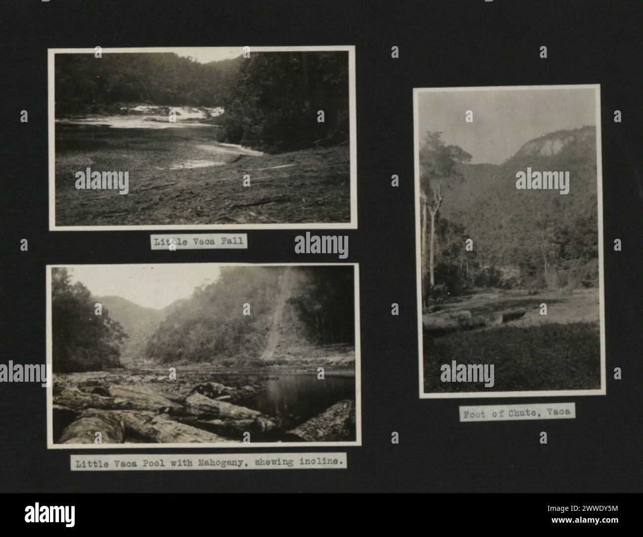 Description: Little Vaca Fall Location: Vaca, Belize Date: 1923-1934 ...