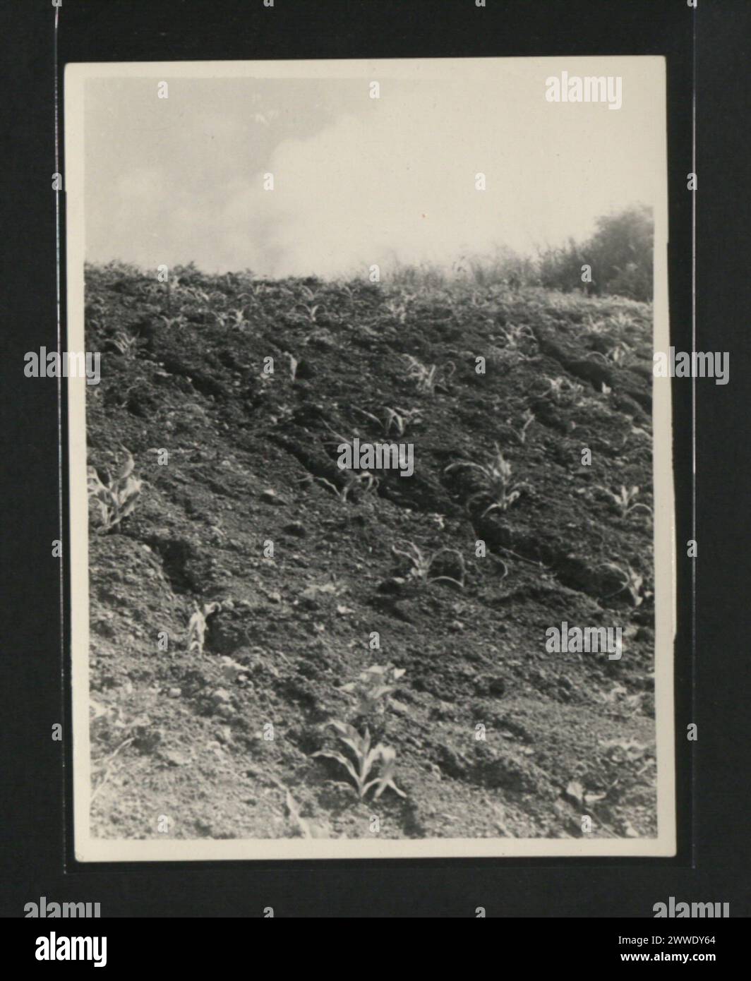 Description: Rodriguan farm (old style) after rainfall. Location ...