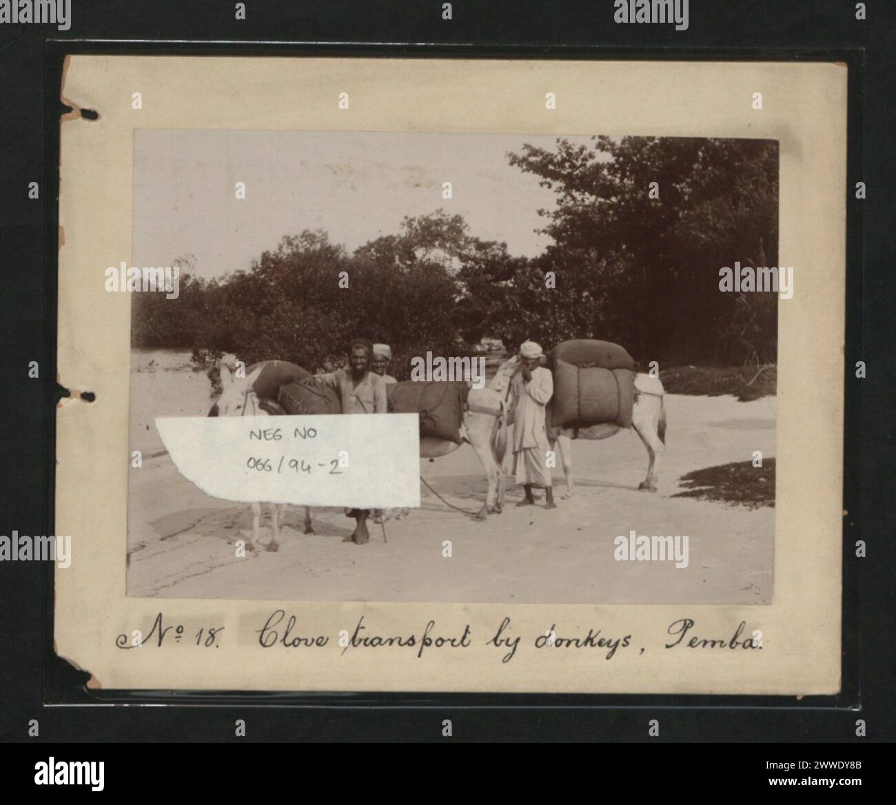 Description: Clove transport by donkeys, Pemba. Location: Pemba ...