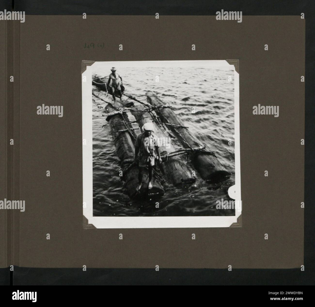 Description: A portion of a log raft Location: Borneo asia, malaysia ...