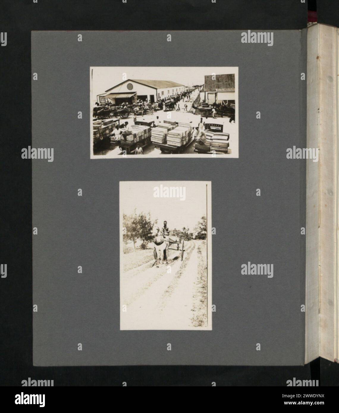 Tonga home hi-res stock photography and images - Alamy