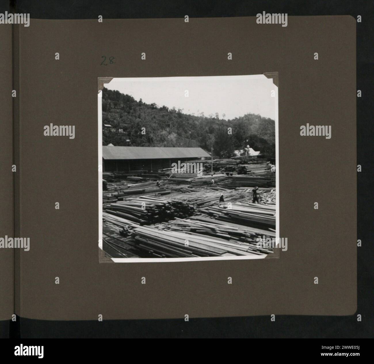 Description: British Borneo Timber Company's Timber Yard. Location ...