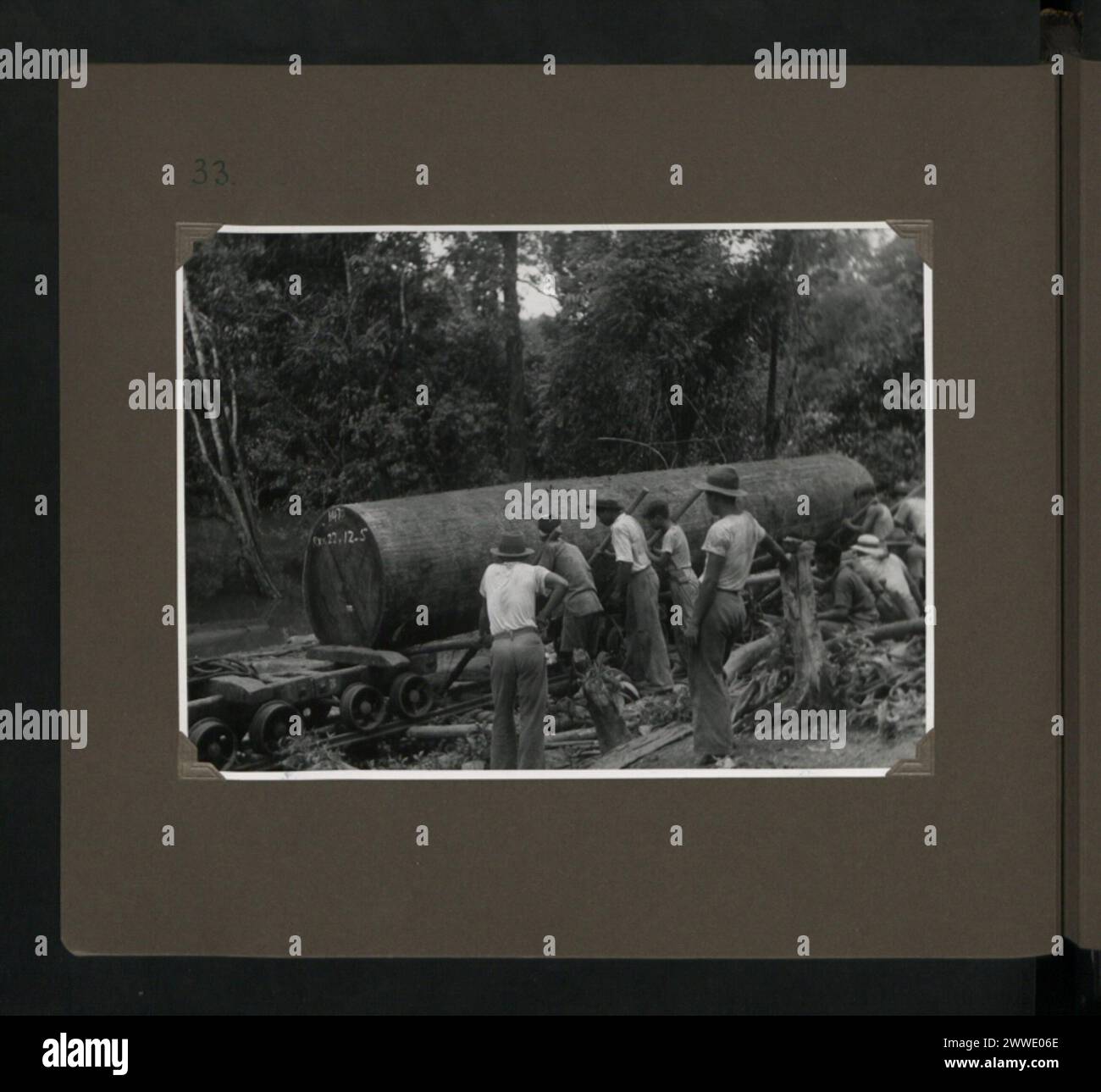 Description: Hand logging, loading a log on to hand-power trucks on a ...