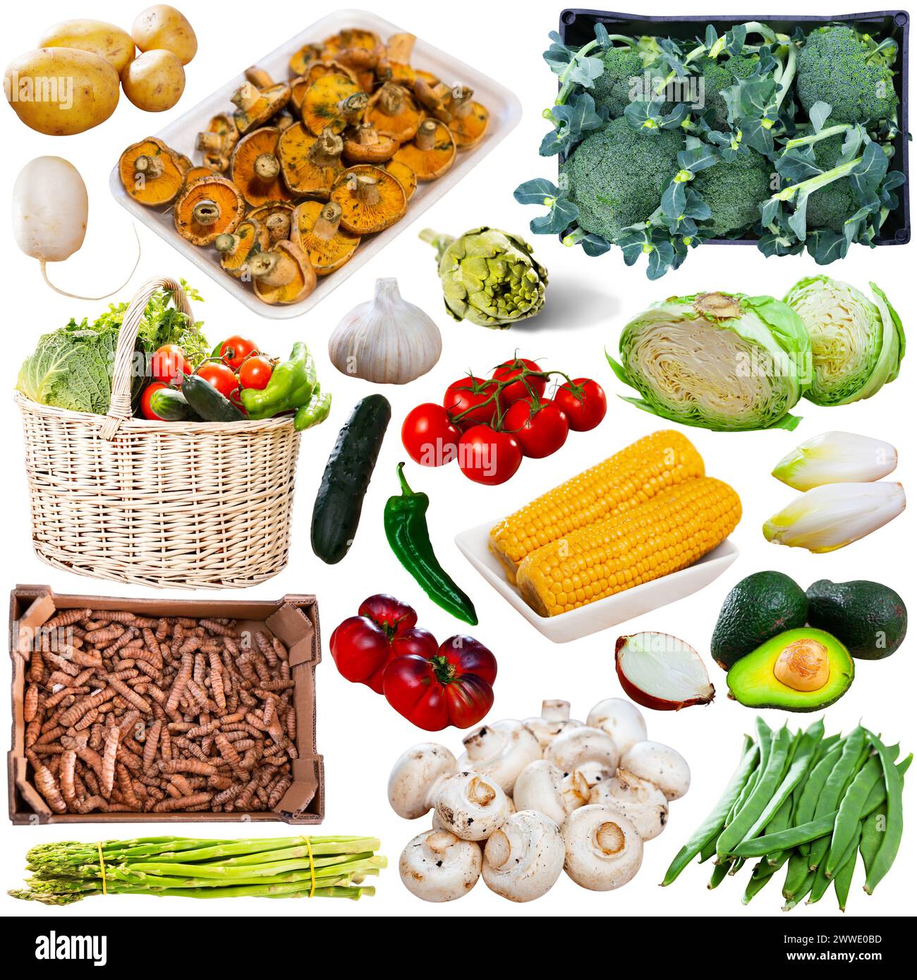 Set of various vegetables isolated on white background Stock Photo - Alamy