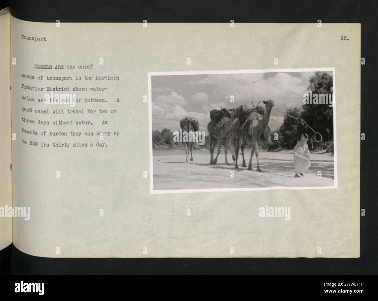 Description: Transport. Camels are the chief means of transport in the ...