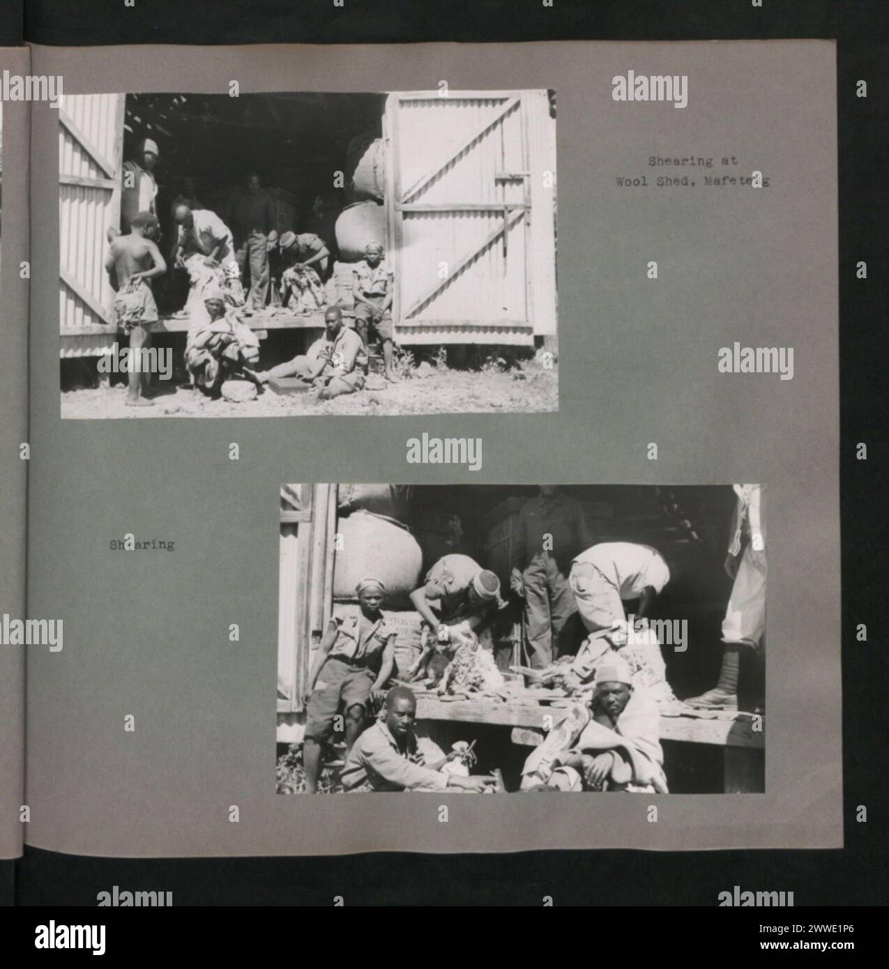 Historichistoricsheep hi-res stock photography and images - Alamy