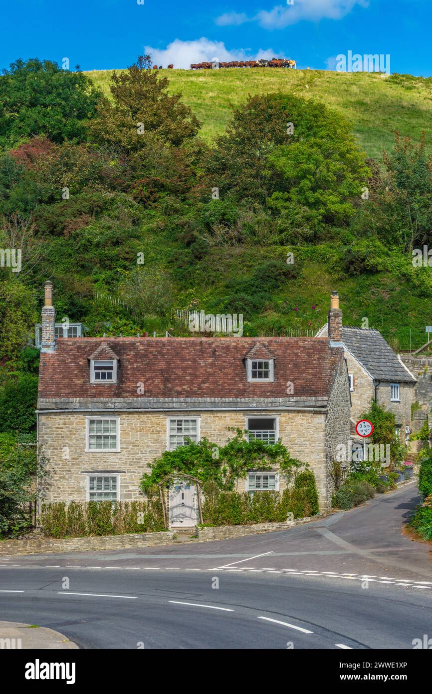 East Street, Corfe Castle, UK - September 14th 2023: A Stone house in ...