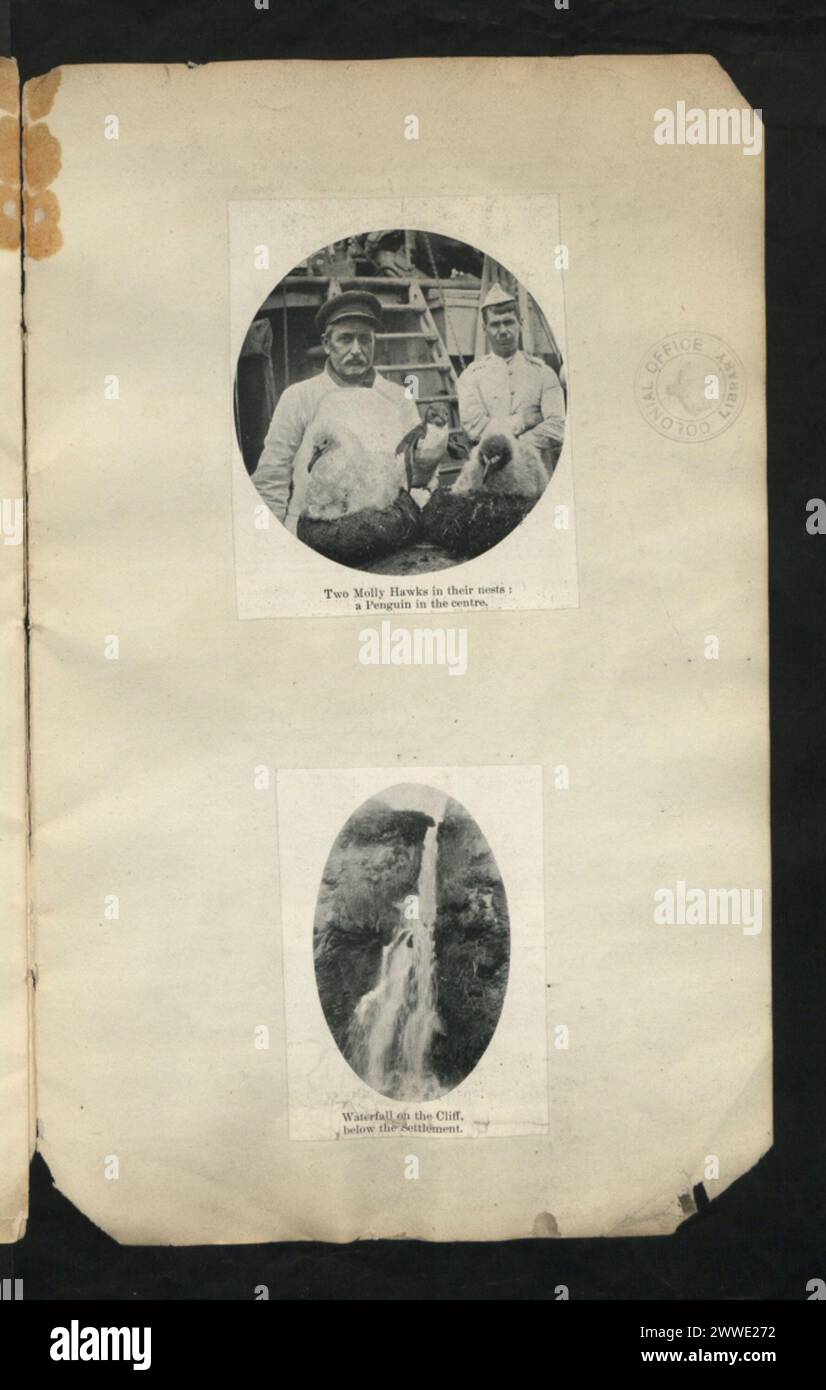 Description: Two Molly Hawks in their nests: a Penguin in the centre ...