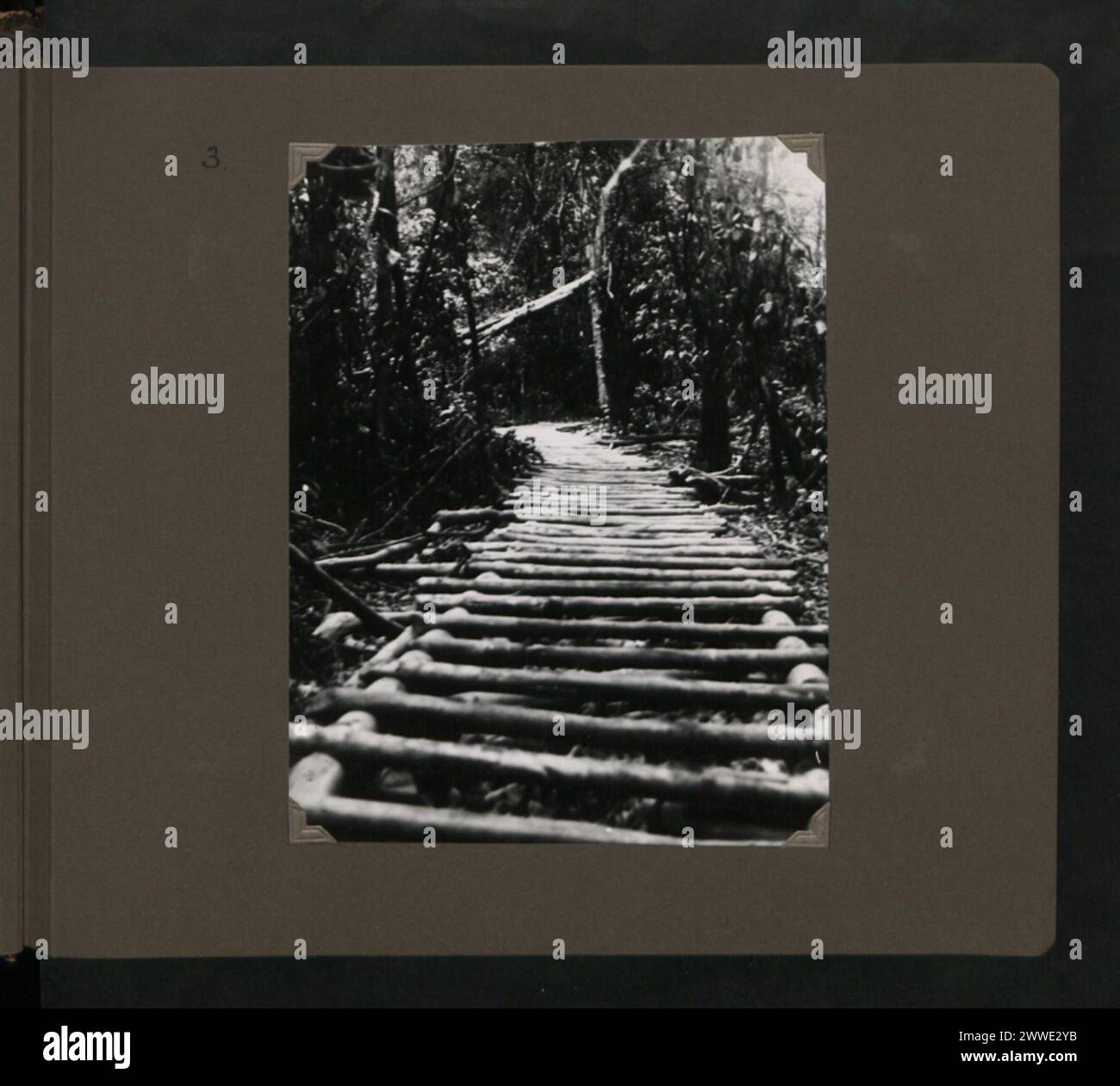 Description: A logging track. These tracks are generally short and are ...