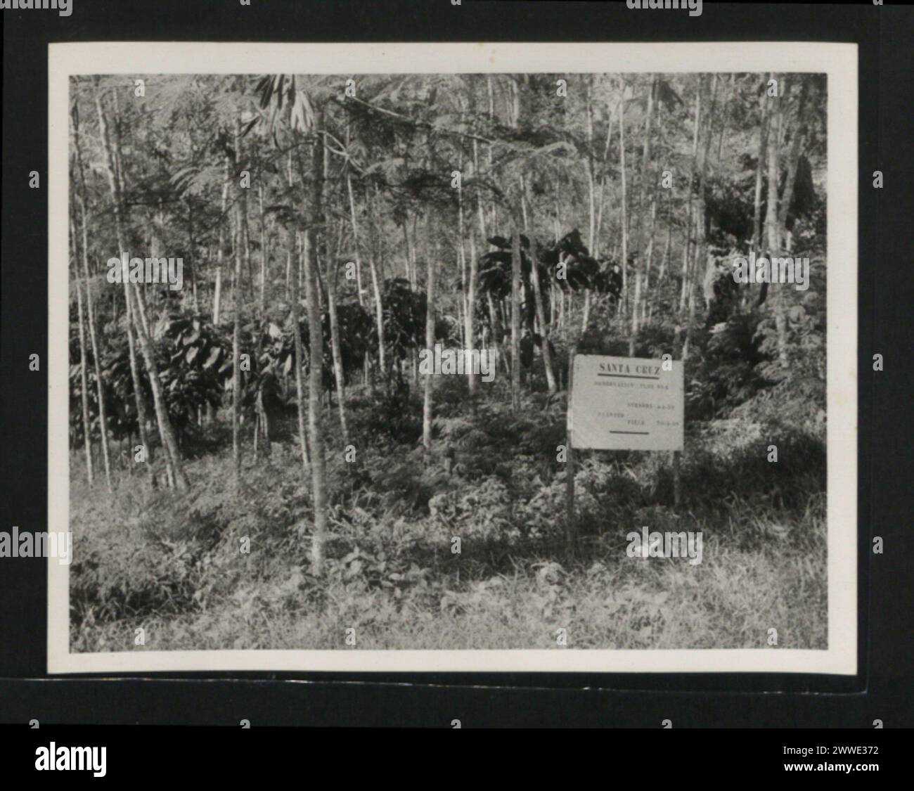 Auki, solomon islands hi-res stock photography and images - Alamy
