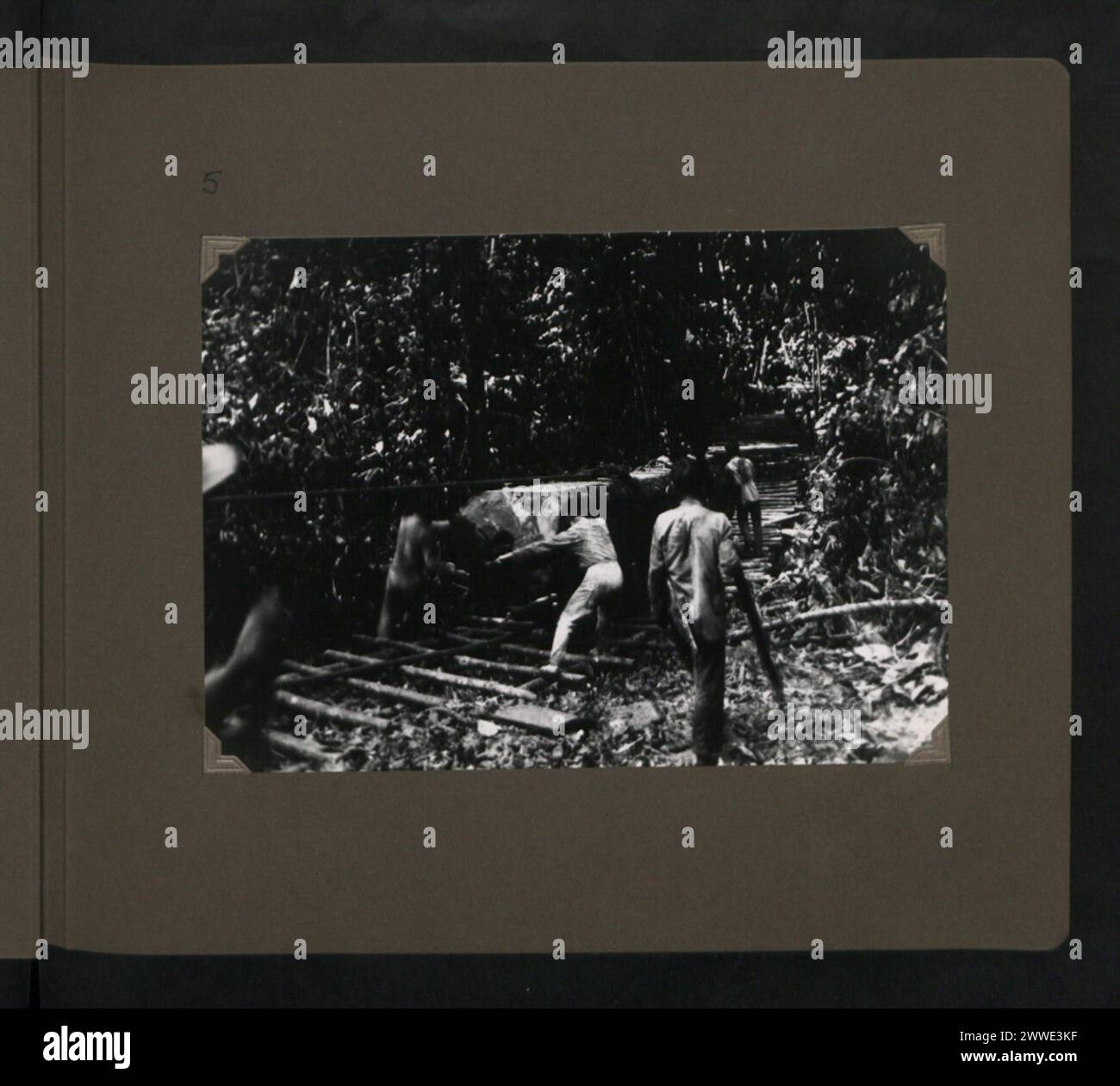 Description: Hand logging in North Borneo. The logs are dragged by man ...