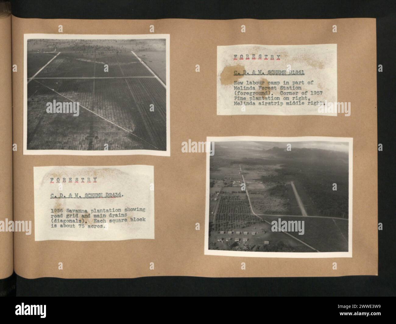 Photographs show the 1956 Savanna plantation in Belize with road grid ...