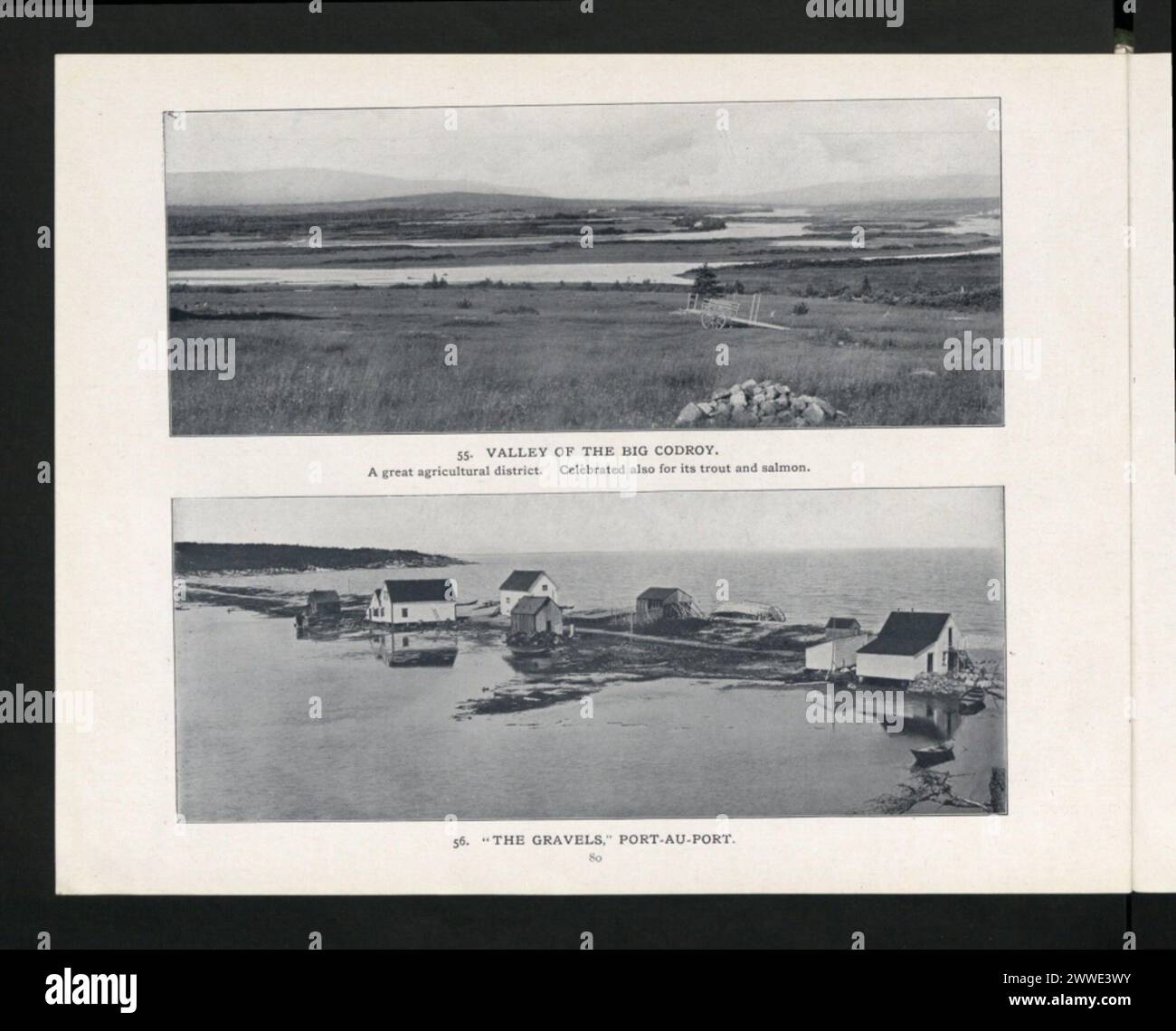 Description: Valley of the Big Codroy. A great agricultural district ...